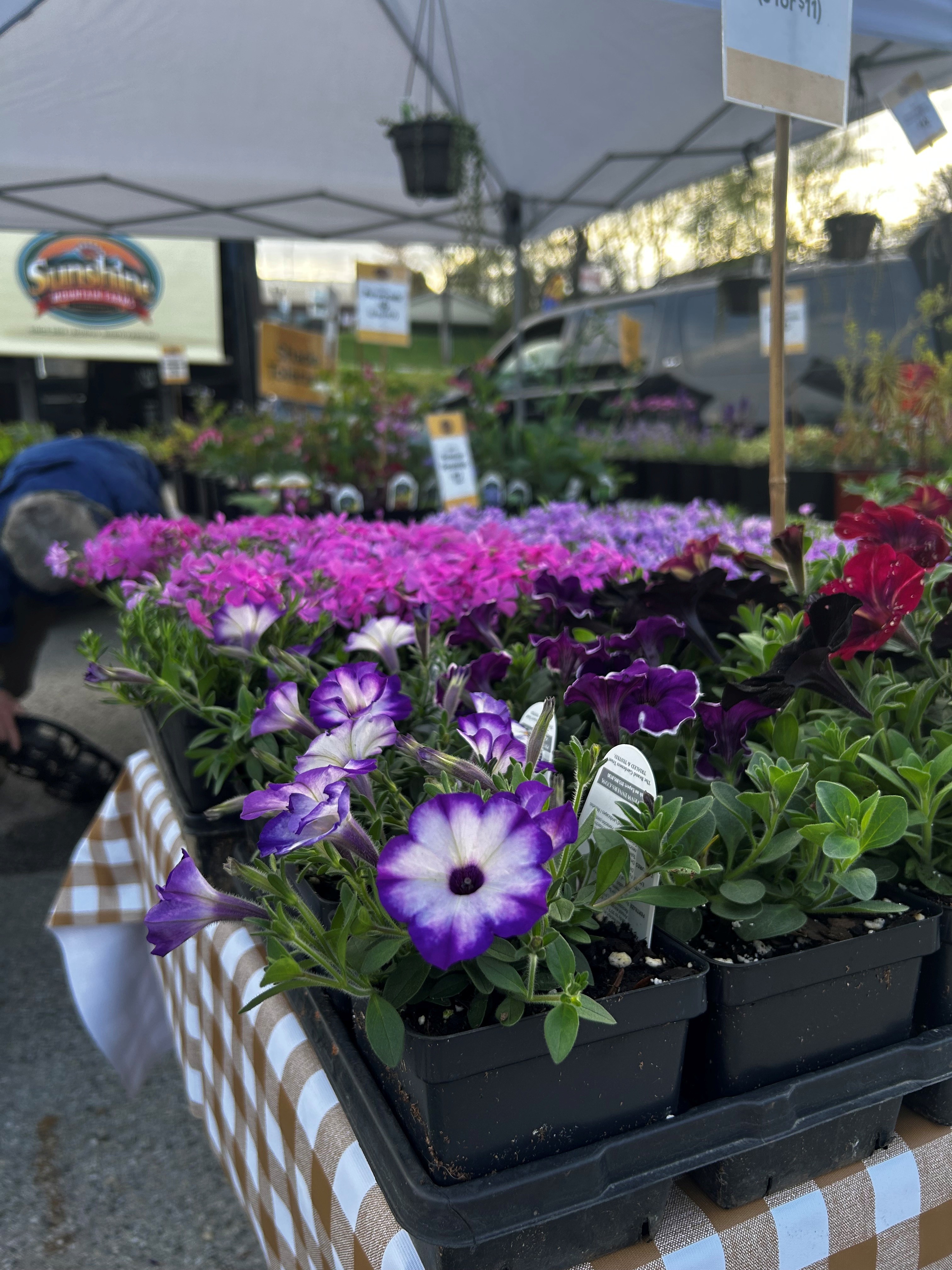 Murphy Farmers Market | Murphy NC